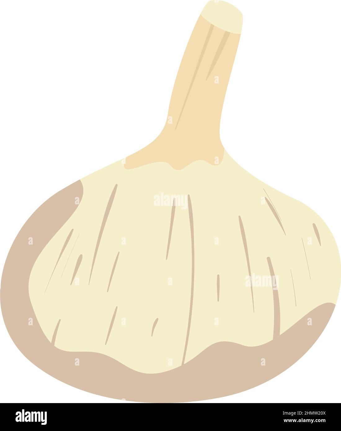 white garlic design isolated icon Stock Vector Image & Art - Alamy
