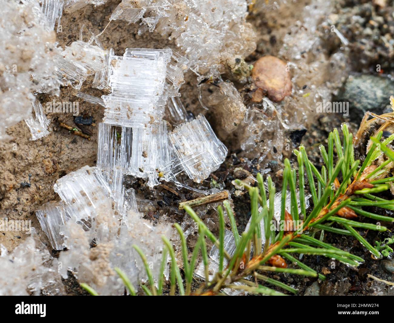 Needle ice, Ambleside, Lake District, UK Stock Photo - Alamy