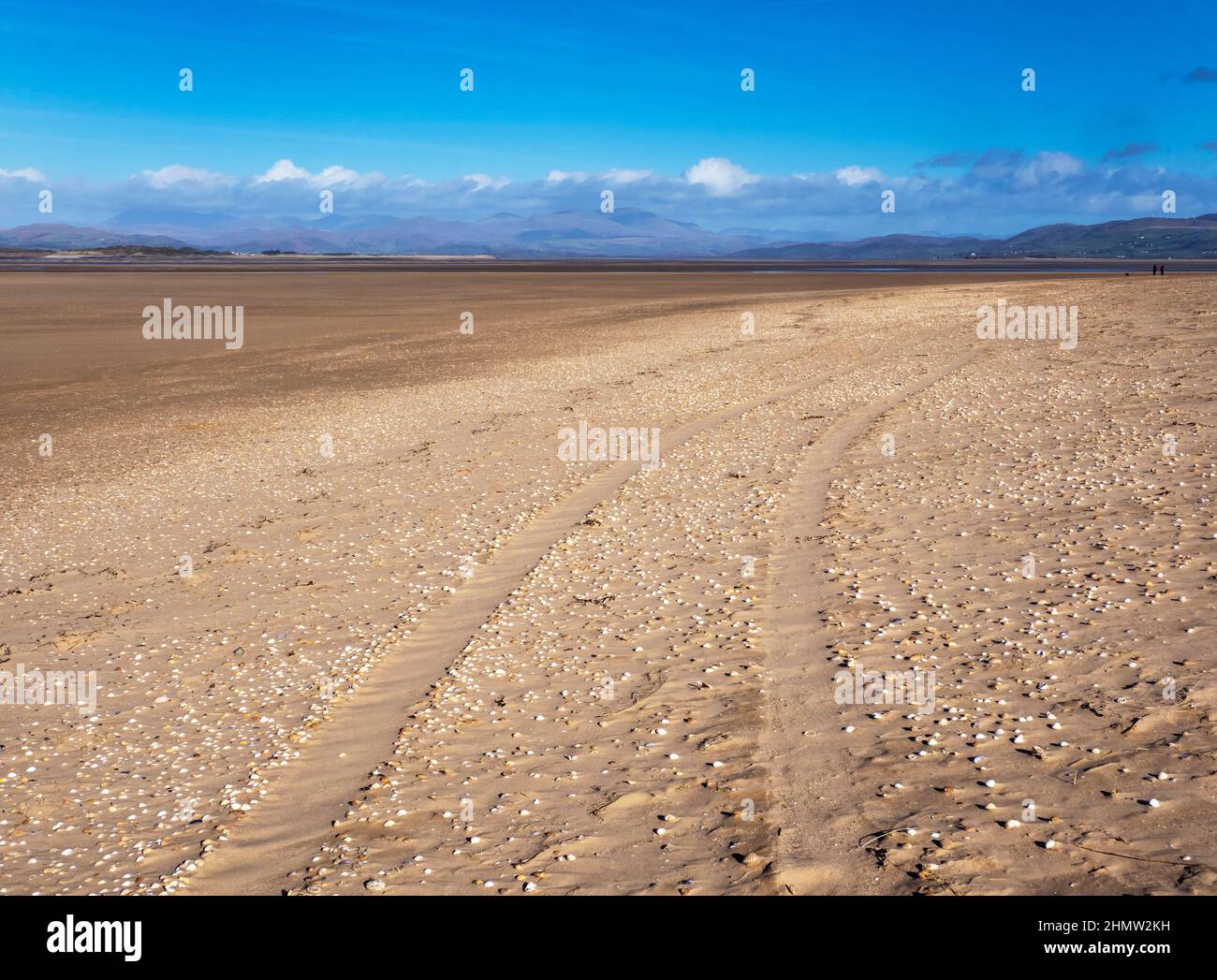 Cockle shells and tyre tracks on the beach at Roanhead, Cumbria, UK ...