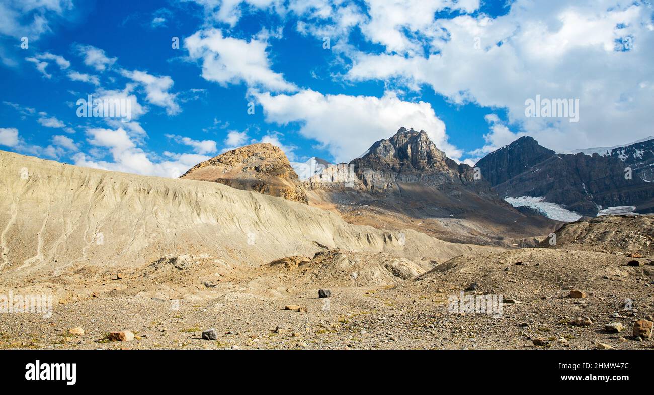 Mount Andromeda Athabasca glacier in jasper canada Stock Photo - Alamy