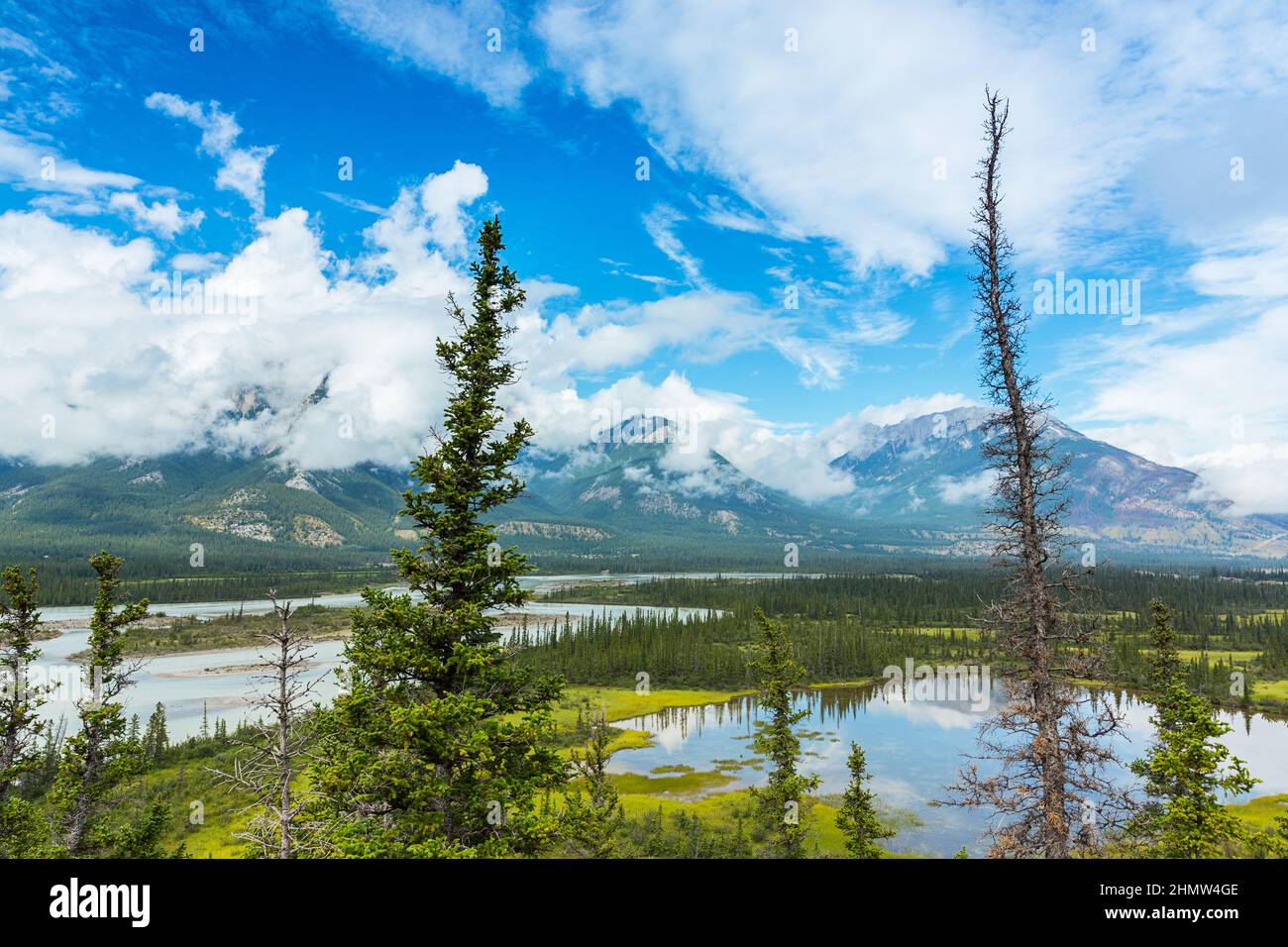 Valley of Saskatchewan River in Canadian Rockies jasper canada Stock ...