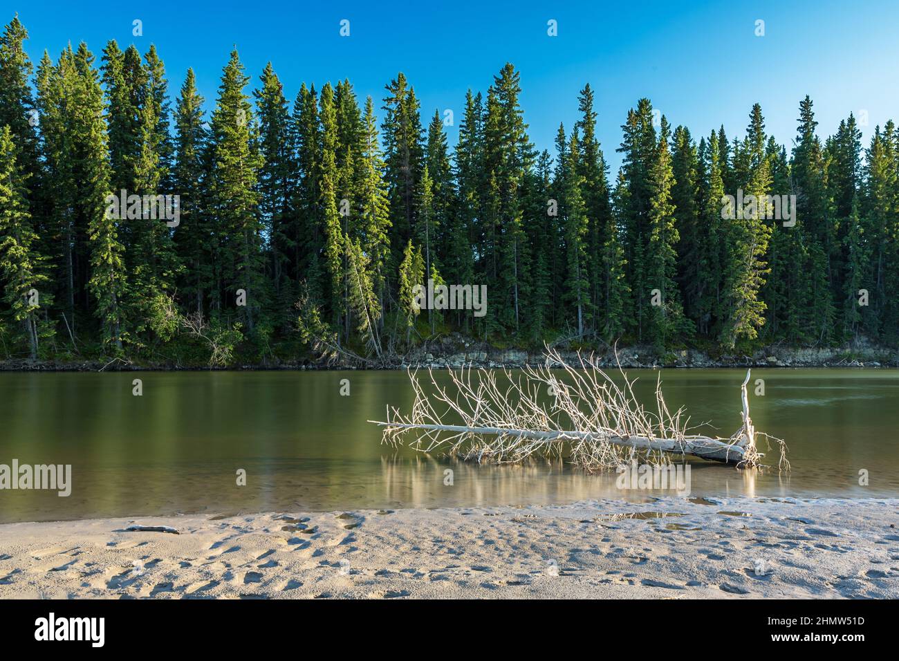 Red deer river banff national park hi-res stock photography and images ...