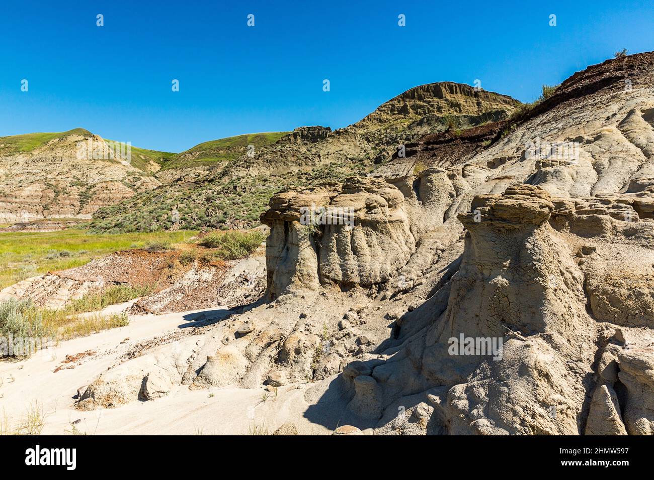 Badlands in Alberta Canada at Summer Stock Photo - Alamy