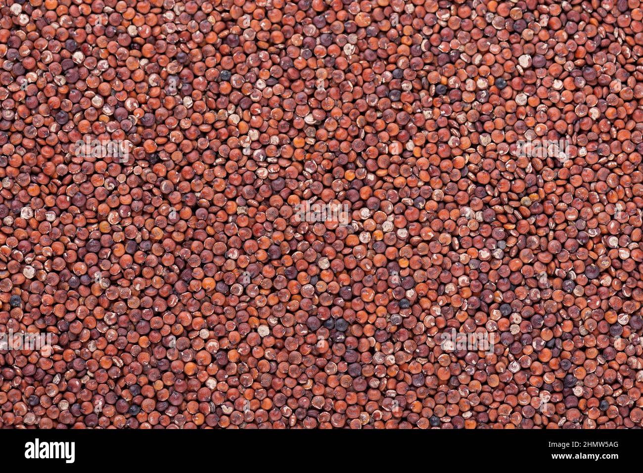 Red quinoa seeds background. Pile of raw kinwa. Top view Stock Photo ...