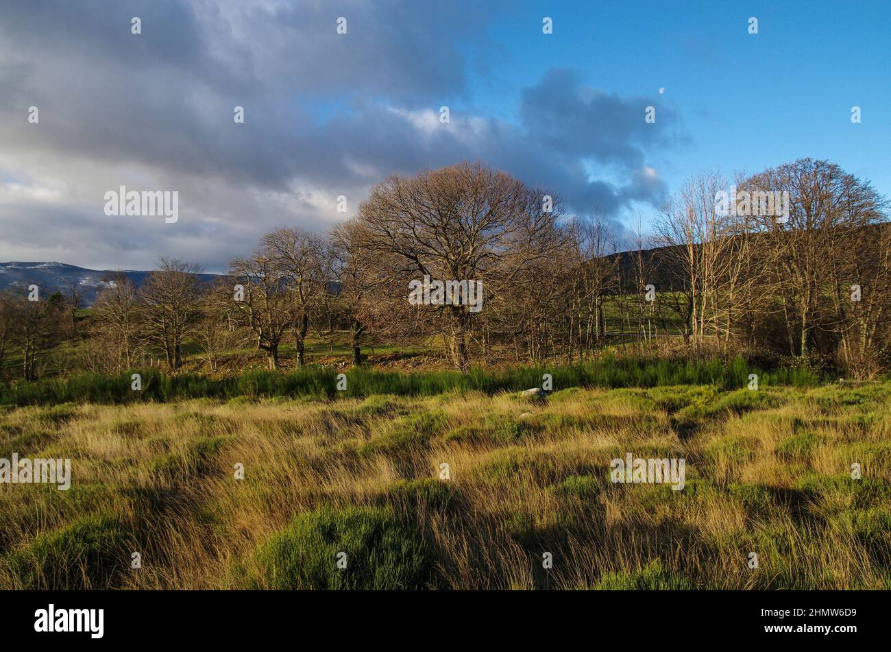 Europe, France, Lozère, gorges de Chassezac Stock Photo - Alamy