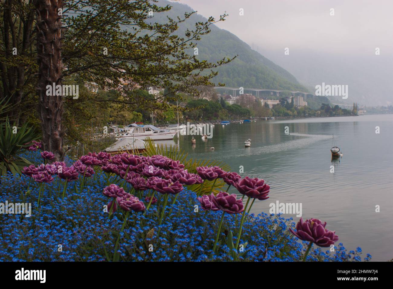 Garden of colorful flowers near the harbor of Lake Geneva in Montreux ...