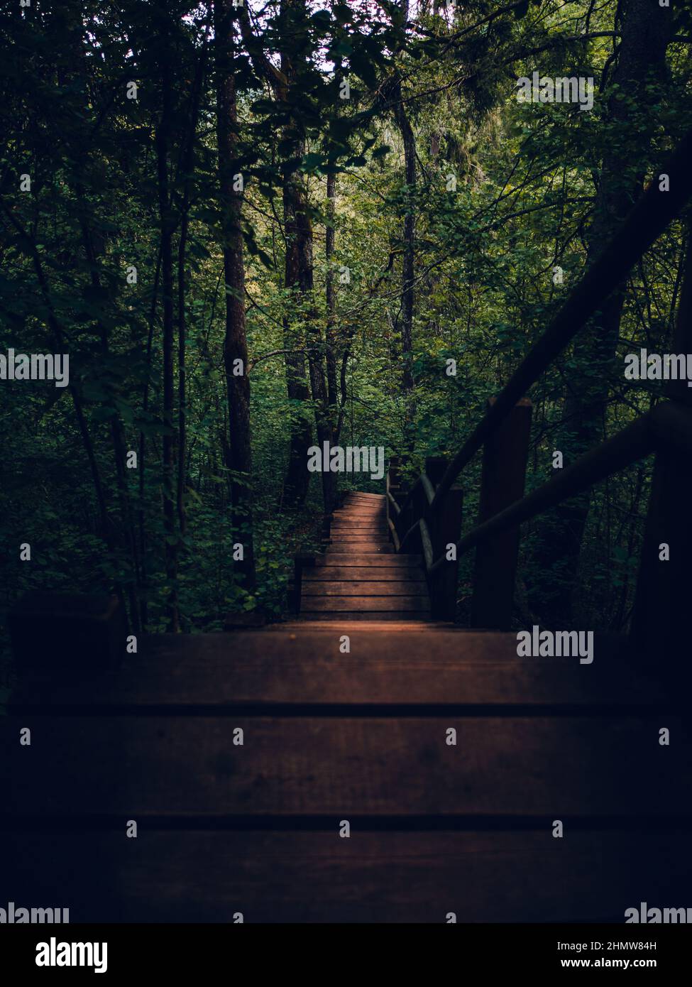 Looking down stairs hi-res stock photography and images - Alamy