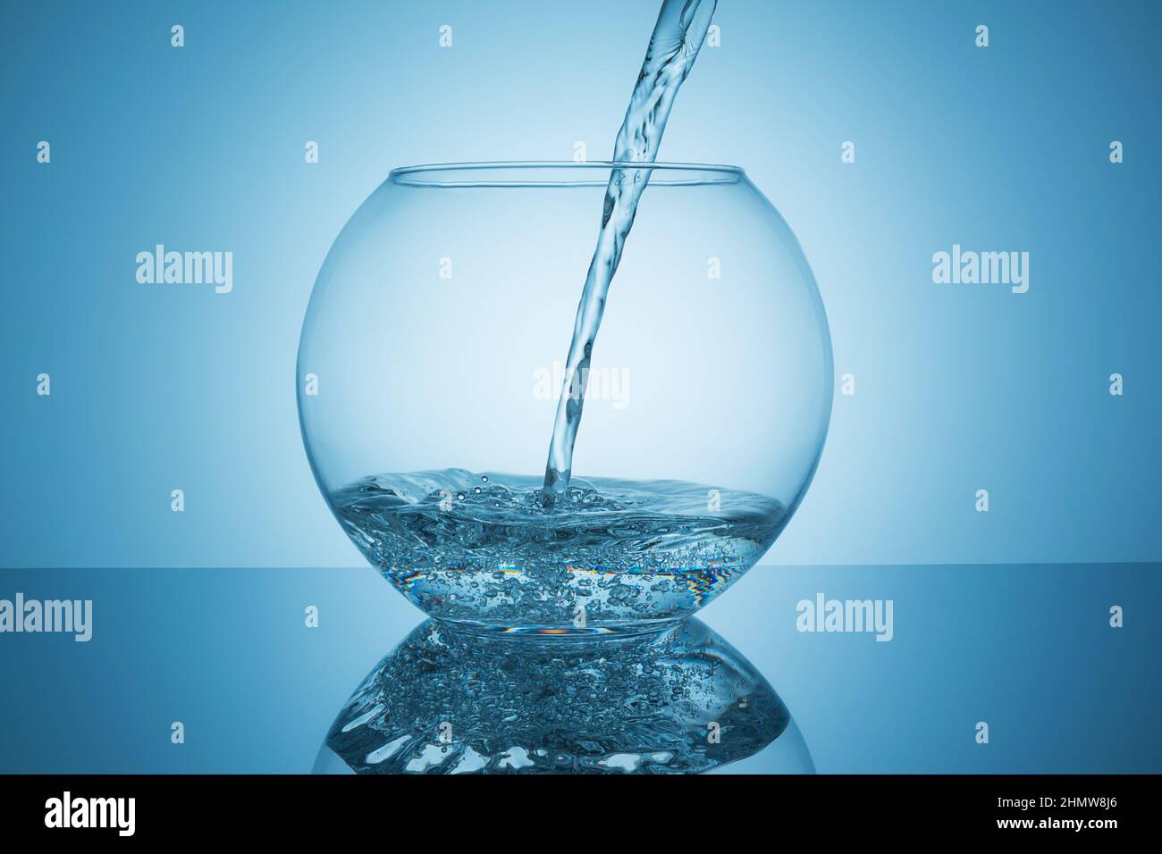 Fill water bowl hi-res stock photography and images - Alamy