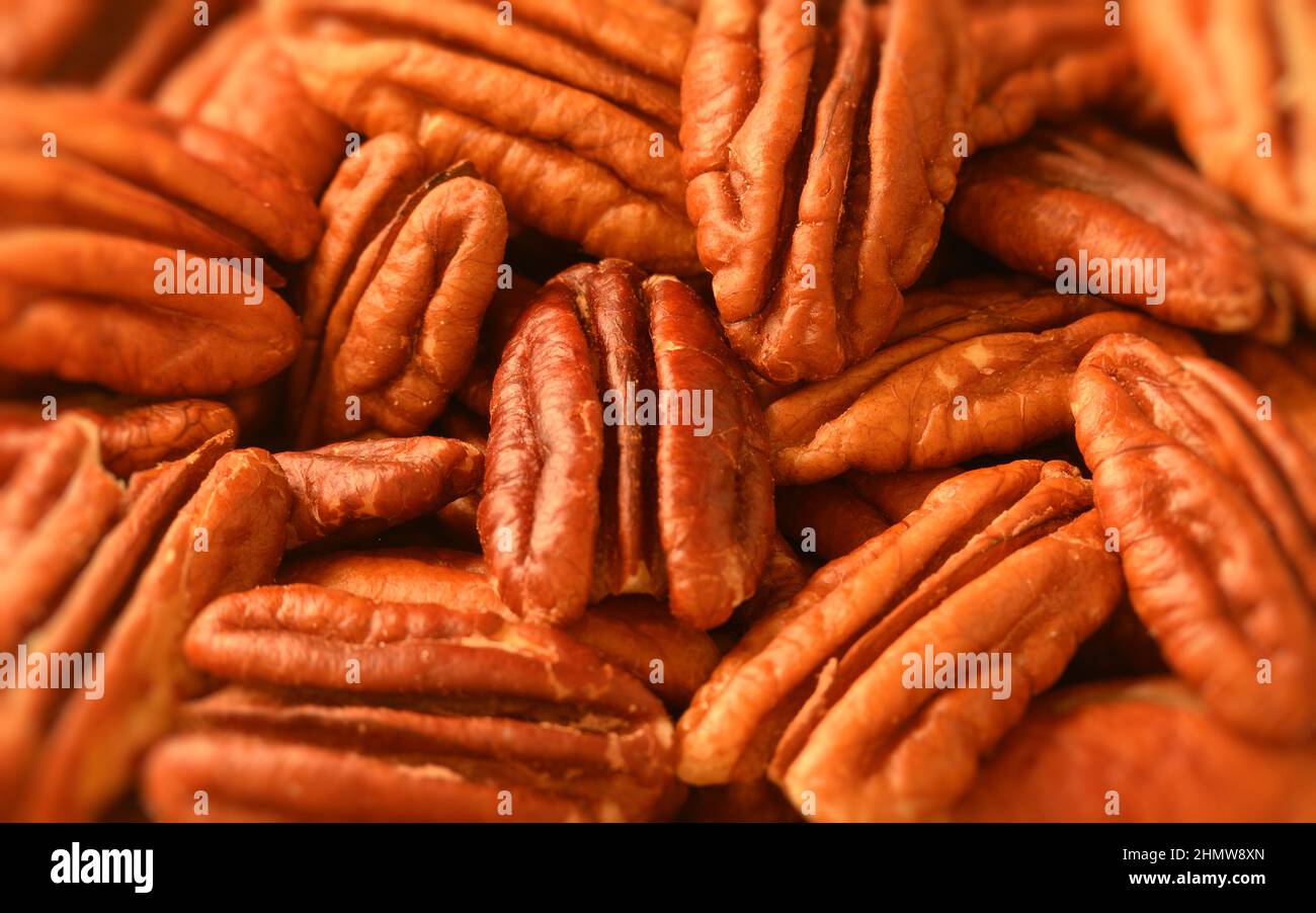 Pecan nuts background horizontal photo close-up hd. High quality photo ...
