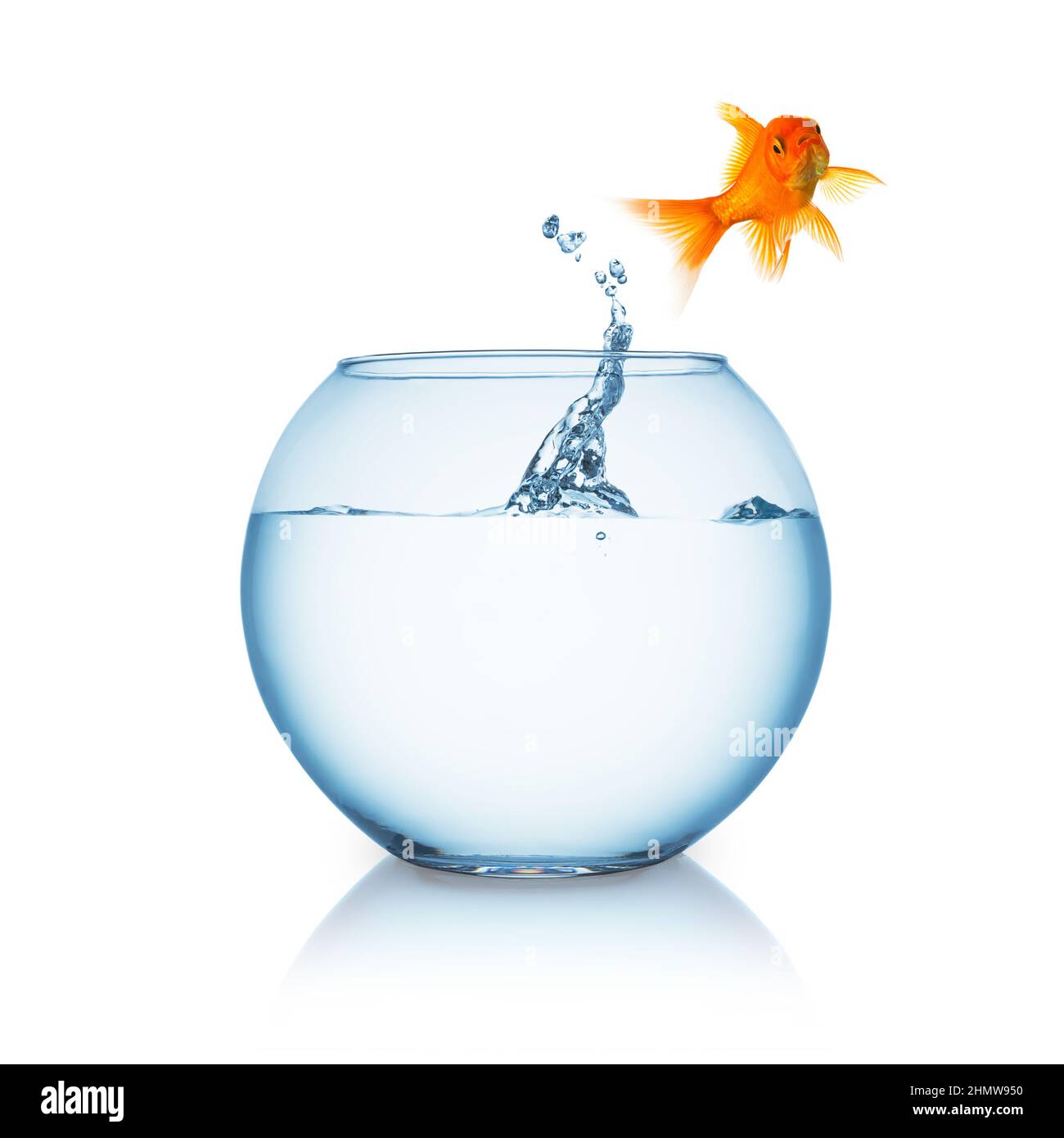 goldfish jumps out of a fishbowl Stock Photo - Alamy