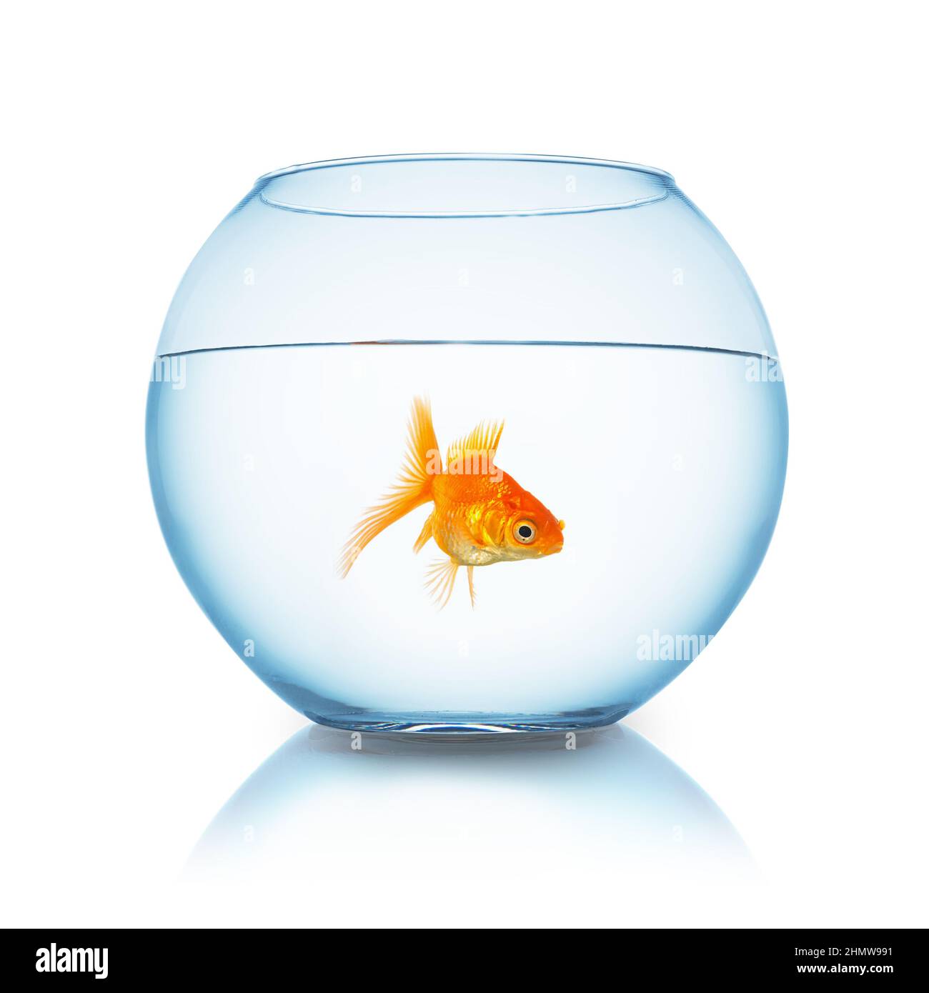 fishbowl with fish Stock Photo - Alamy