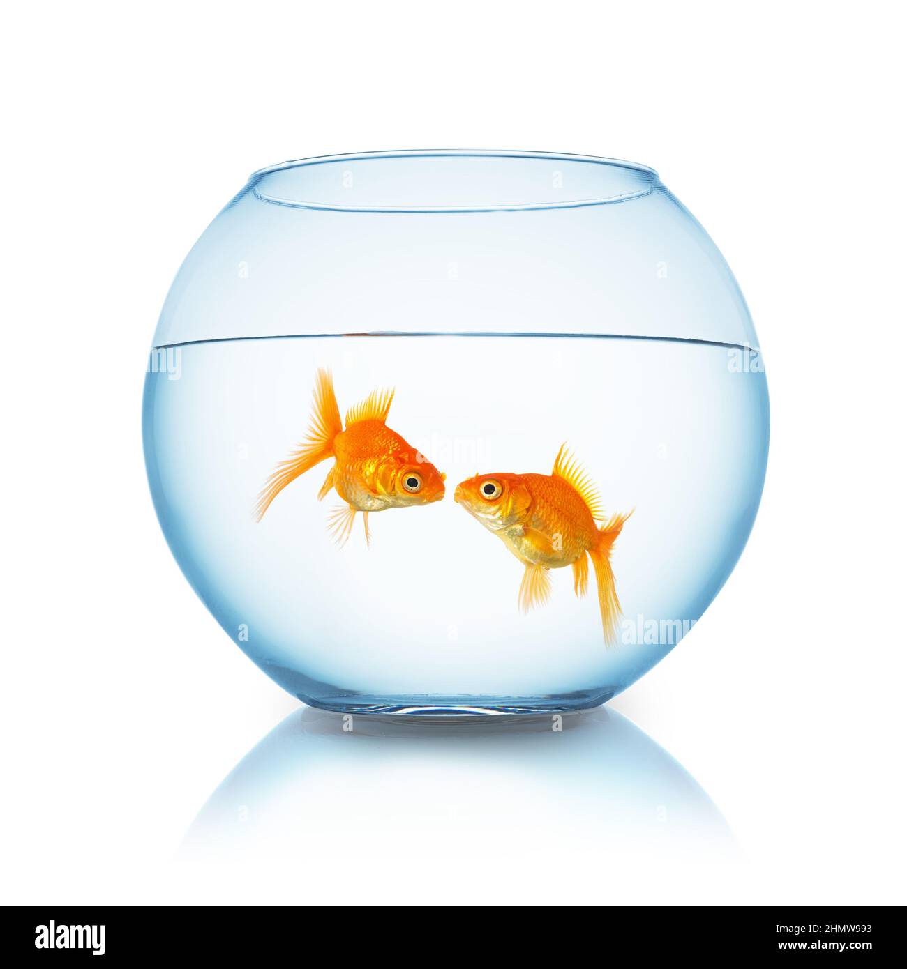 Family couple underwater Cut Out Stock Images & Pictures - Alamy