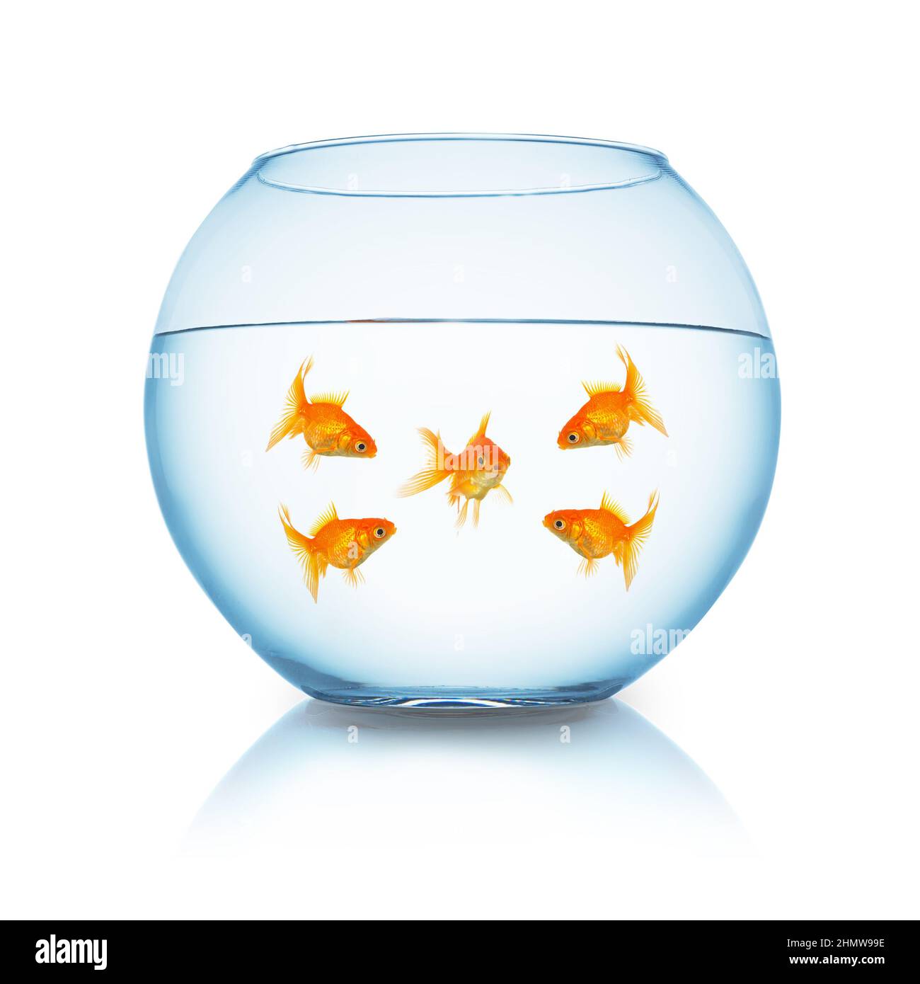 Gold fish ball hi-res stock photography and images - Alamy