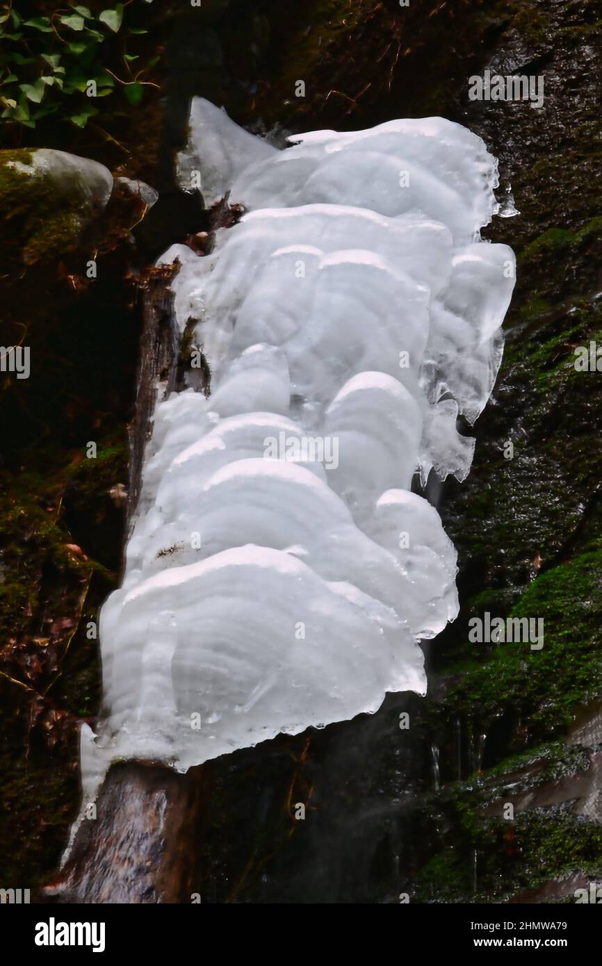 ice formation in the nature environment Stock Photo - Alamy