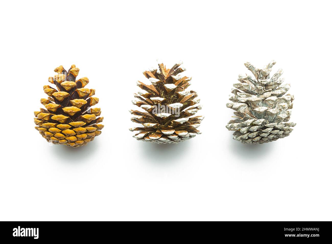 different pine cones on white Stock Photo - Alamy