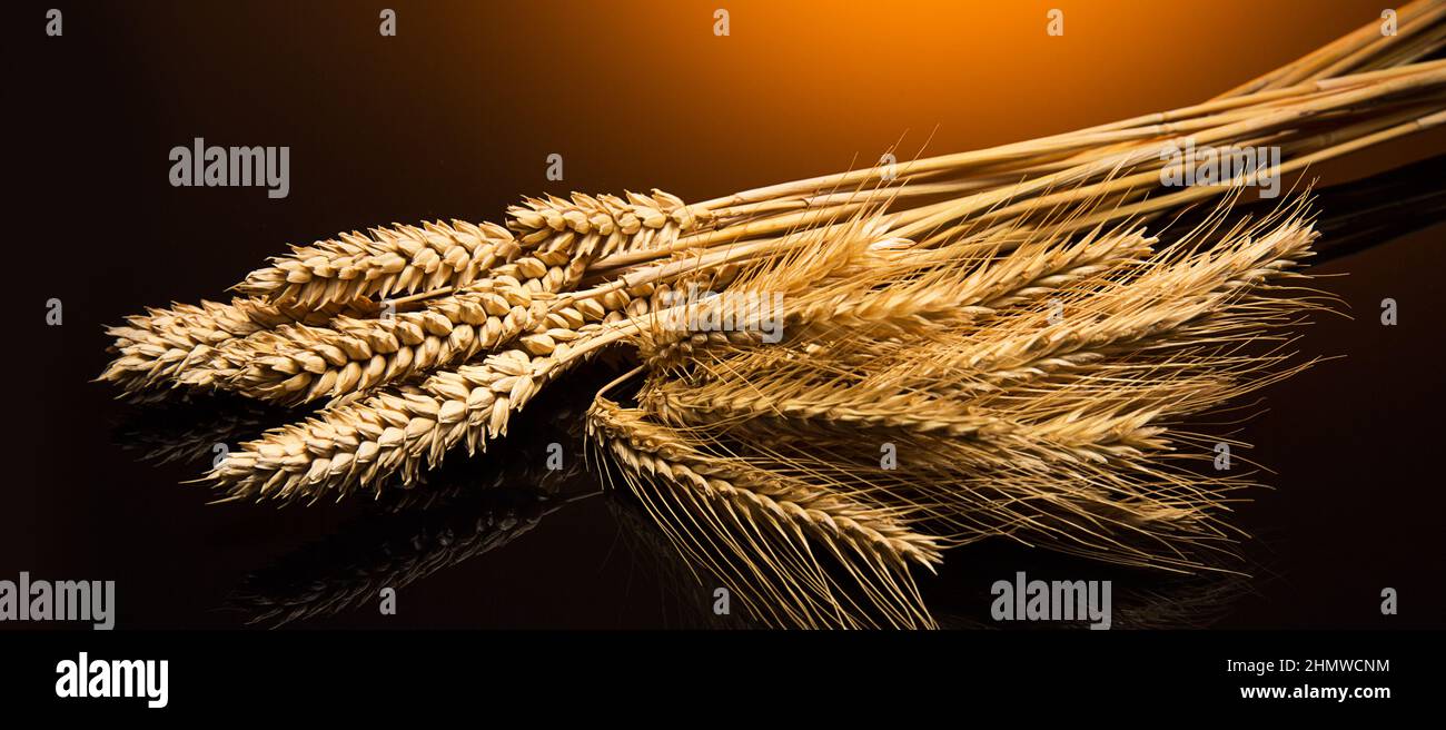 Grain varieties hi-res stock photography and images - Alamy