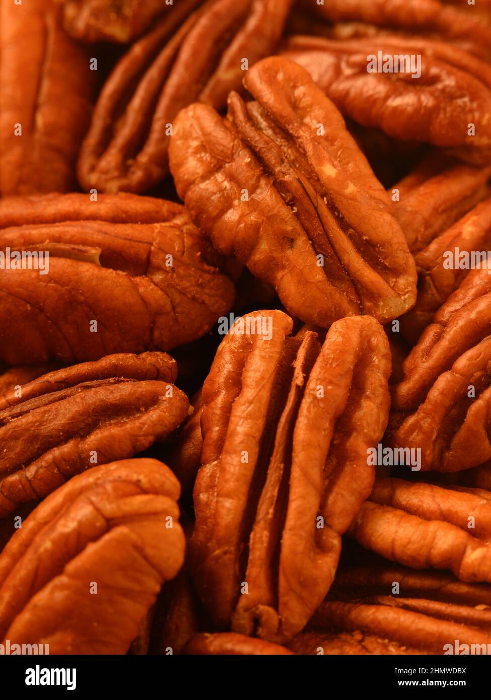 Pecan nuts background vertical photo close-up hd. High quality photo of ...