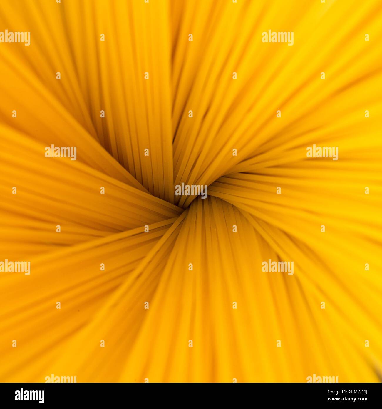 Spaghetti raw pasta durum wheat hi-res stock photography and images - Alamy
