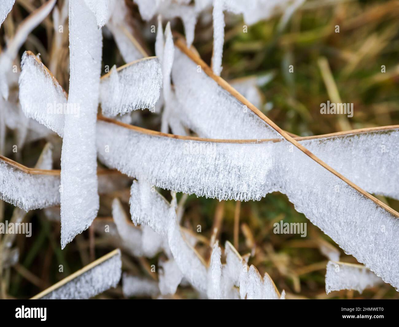 Rime ice on the summit of Red Screes, Lake District, UK Stock Photo - Alamy