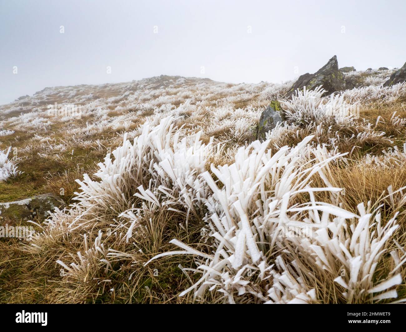 Rime ice on the summit of Red Screes, Lake District, UK Stock Photo - Alamy