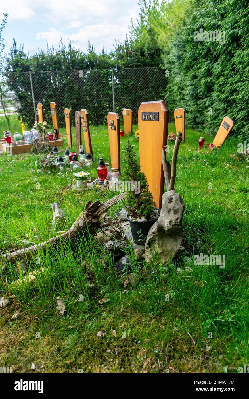 Pet cemetery hi-res stock photography and images - Alamy
