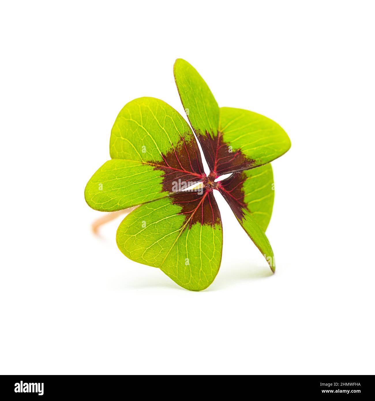 Joy lucky Cut Out Stock Images & Pictures - Alamy