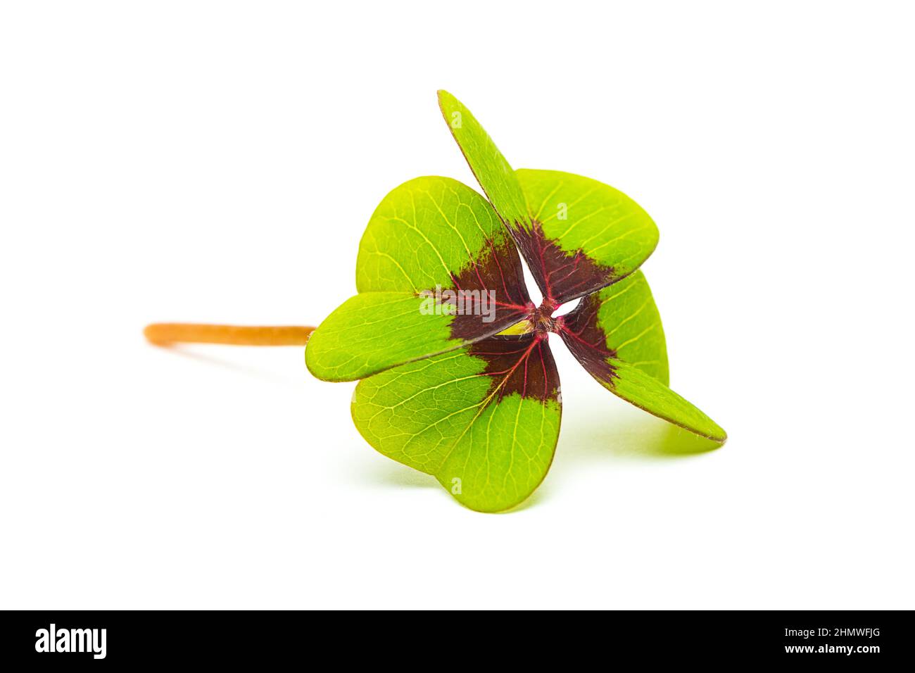 Joy lucky Cut Out Stock Images & Pictures - Alamy