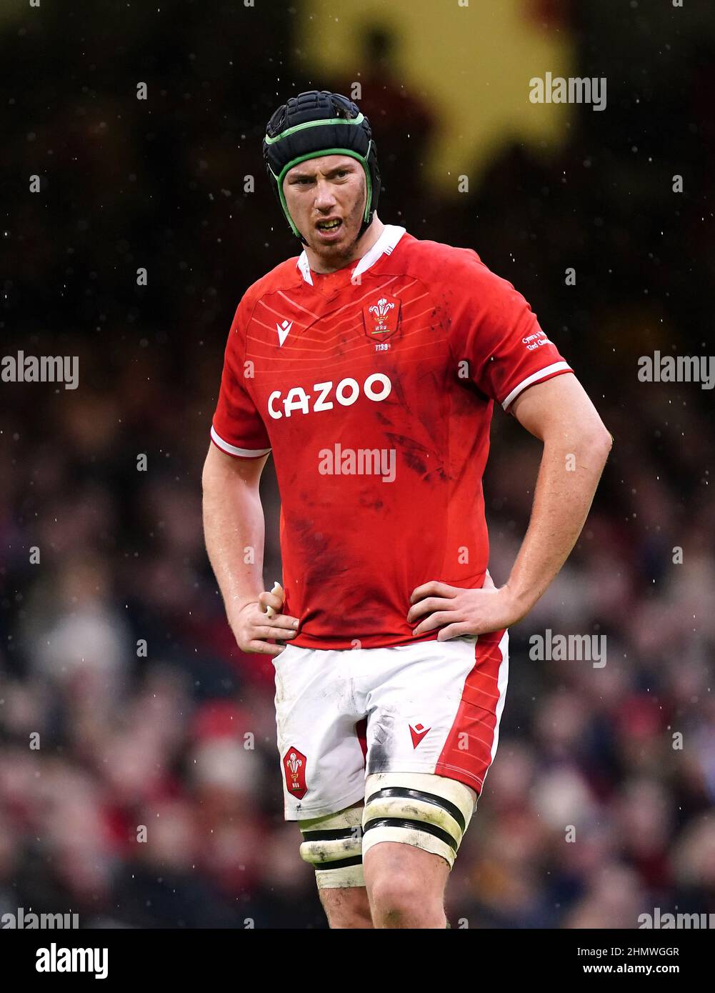 Adam beard hi-res stock photography and images - Alamy