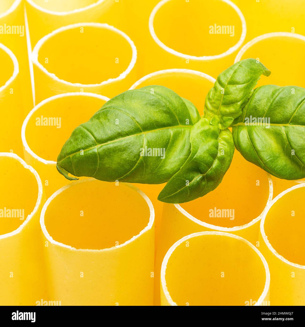 Cannelloni pasta tubes hi-res stock photography and images - Alamy