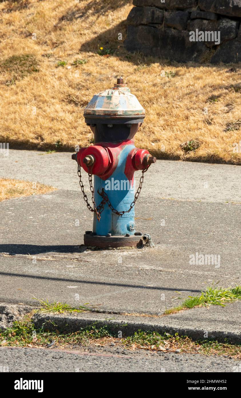 colourful fire hydrant seattle washington USA Stock Photo - Alamy