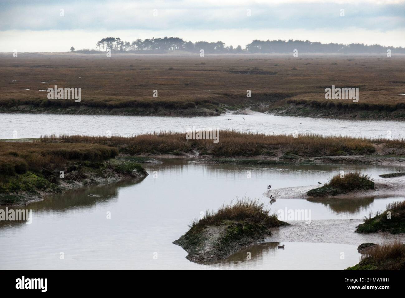 Wells Salt Marshes Stock Photo - Alamy