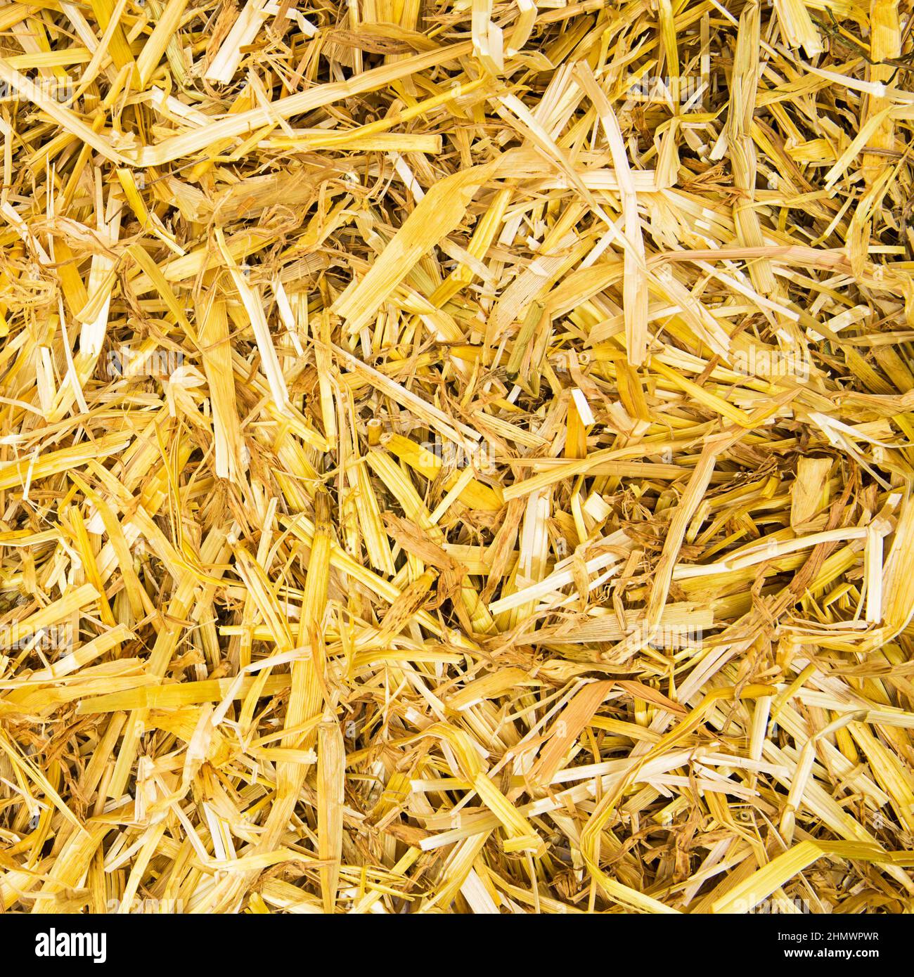 straw texture background Stock Photo - Alamy
