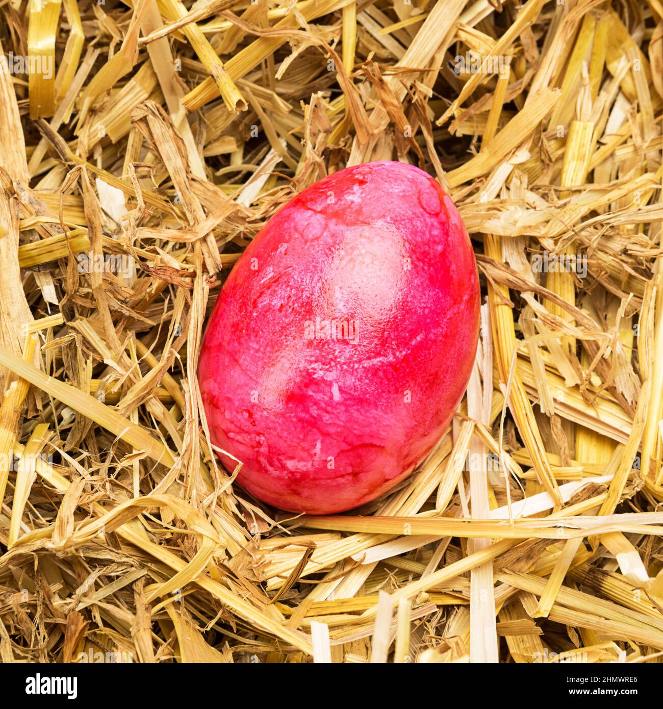 Easter bunny hens egg hi-res stock photography and images - Alamy