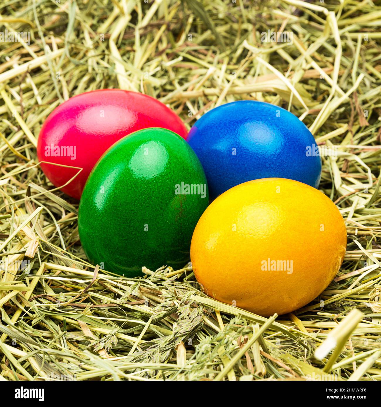 Organic eggs different colors hi-res stock photography and images - Alamy