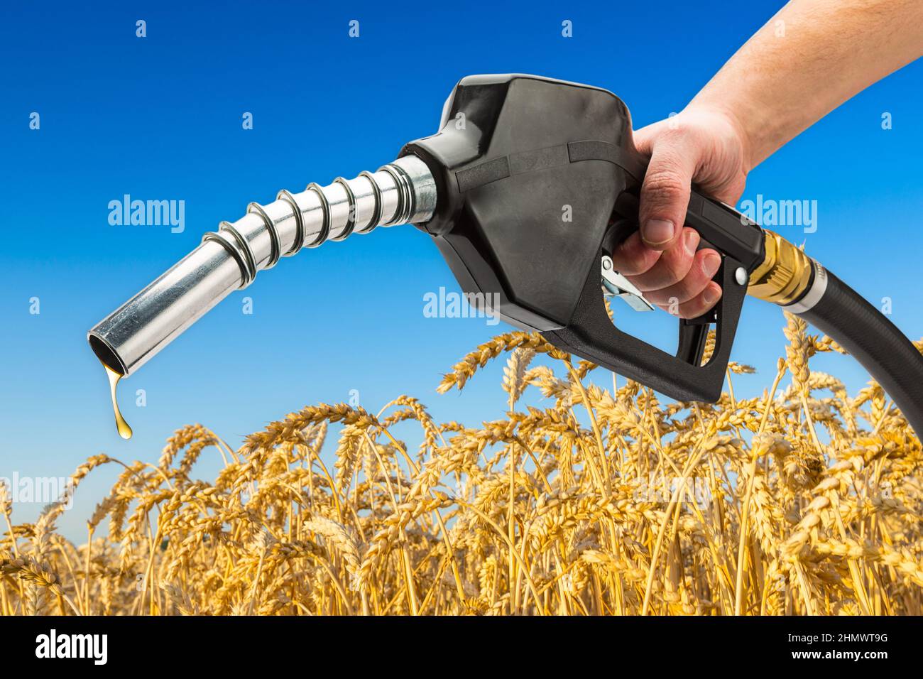 Recharge gas Eco-Friendly Stock Photo - Alamy