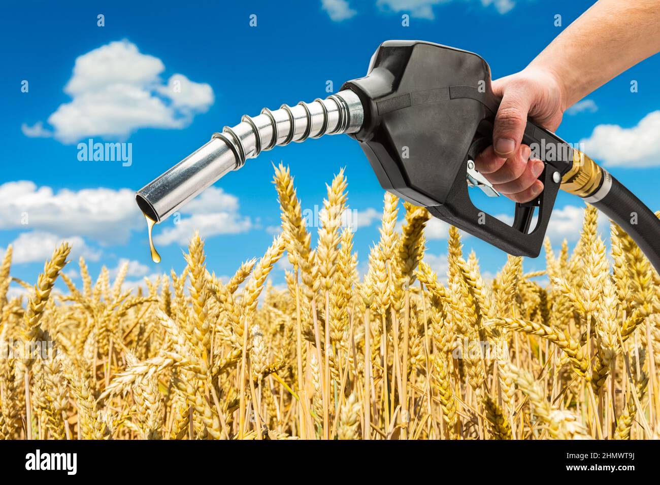 Recharge gas Eco-Friendly Stock Photo - Alamy