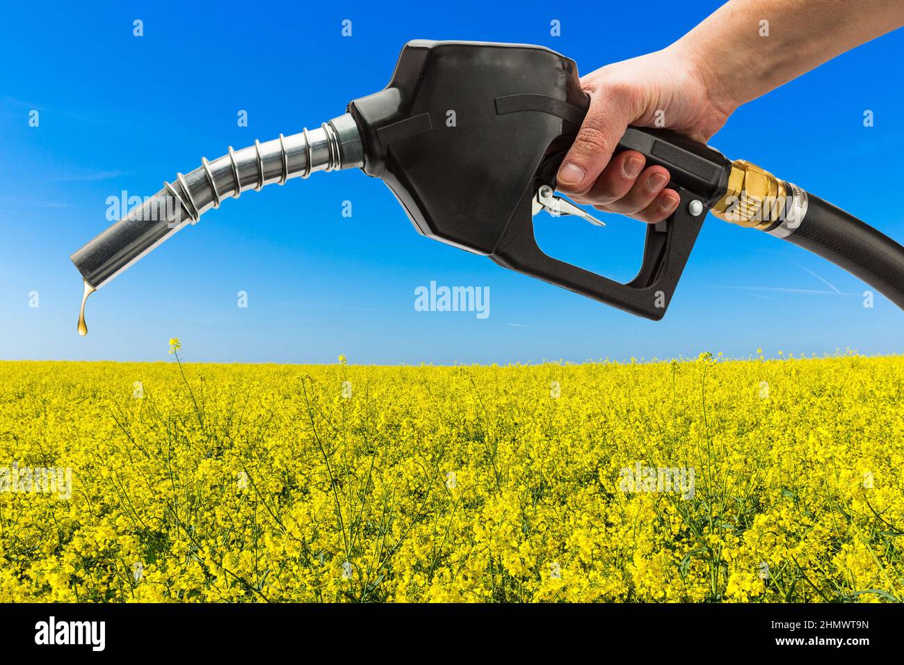 Recharge gas Eco-Friendly Stock Photo - Alamy