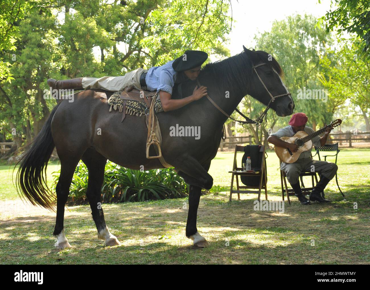 Traditional Argentinian gaucho showing horse skills in la Pampas lying ...