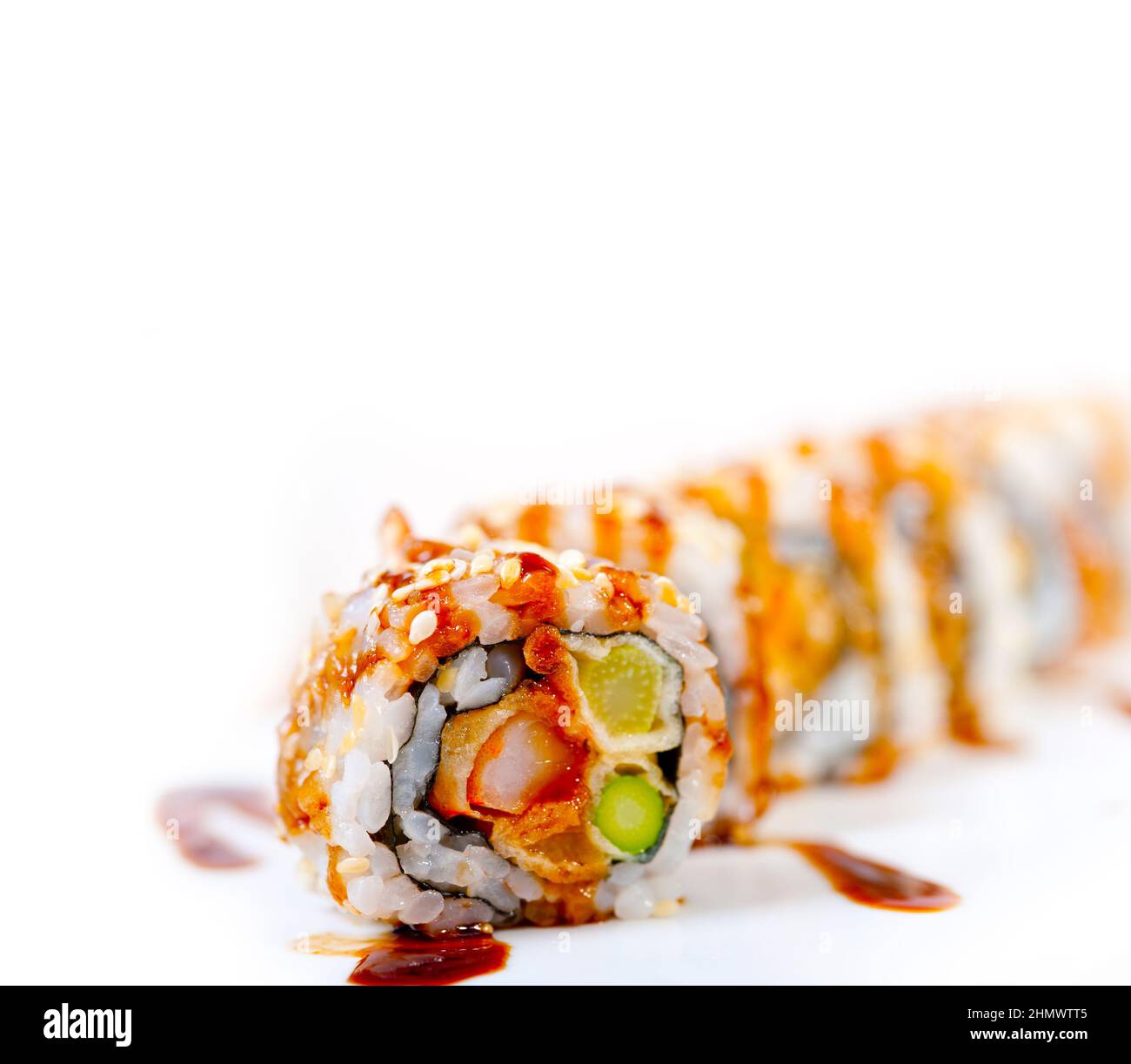 macro closeup of fresh sushi choice combination assortment selection ...