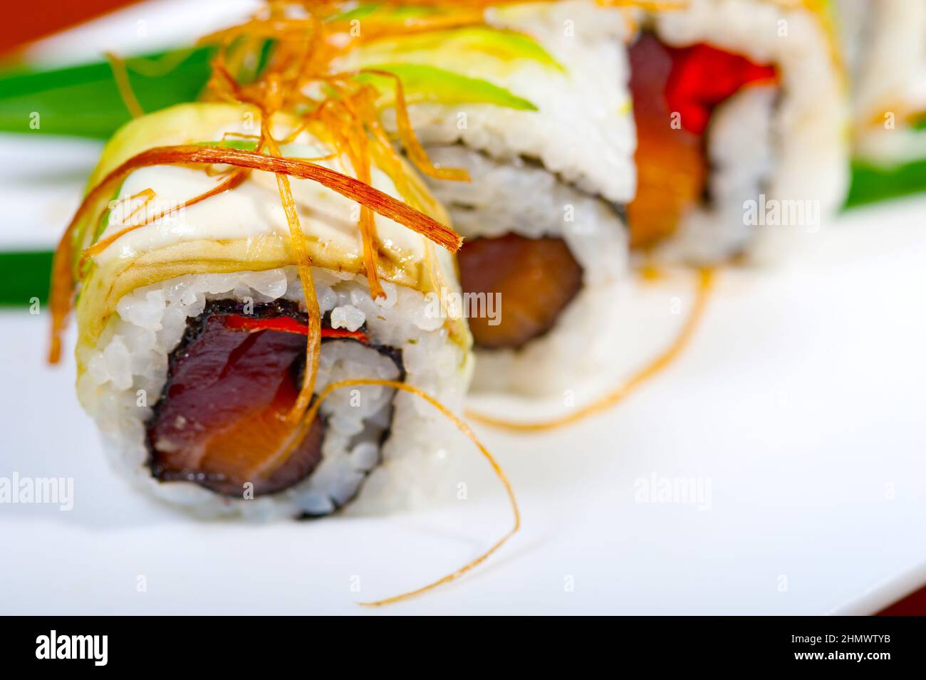 macro closeup of fresh sushi choice combination assortment selection ...