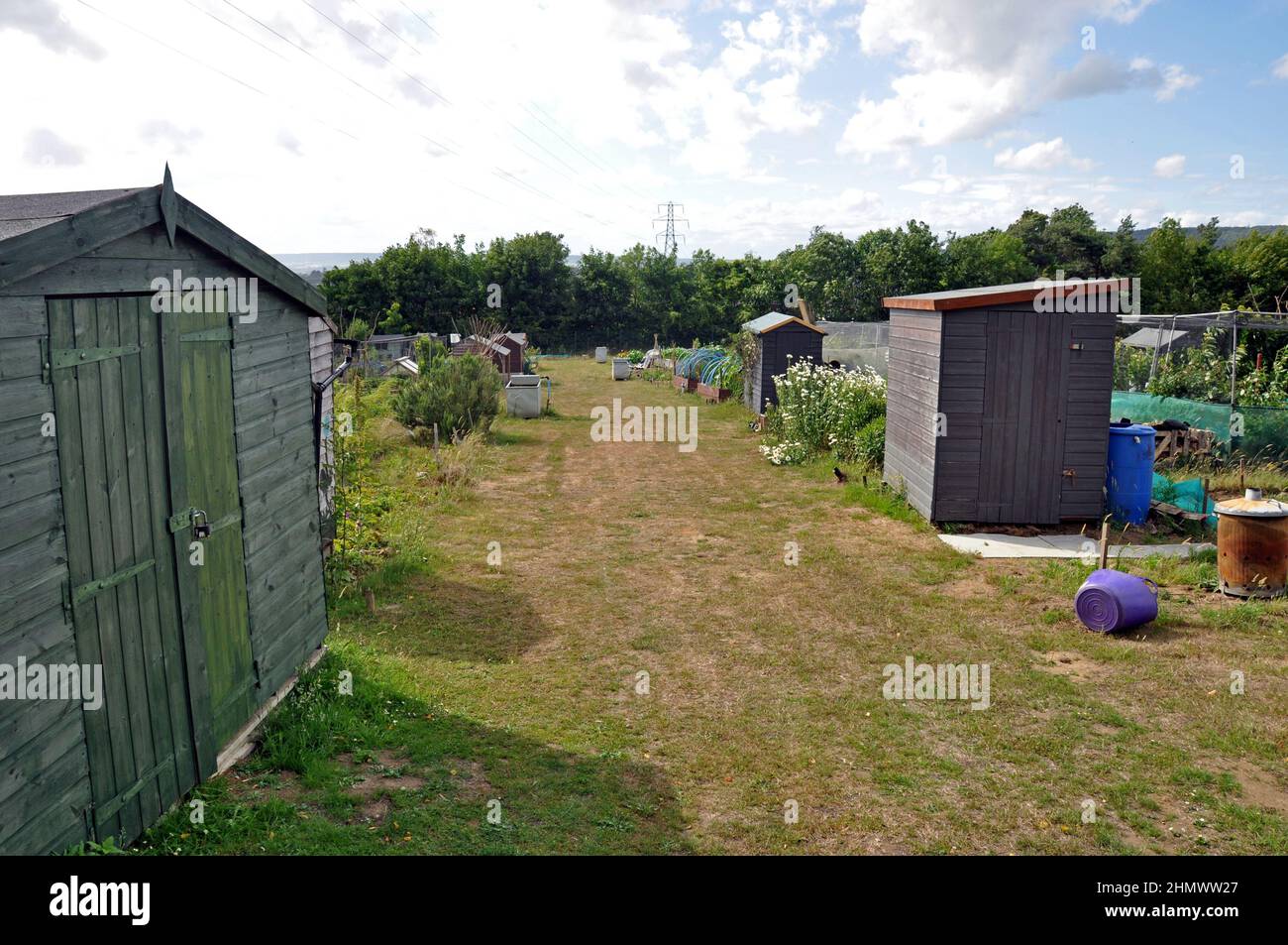 Traditional English Allotment with sheds and plots with trees and view ...