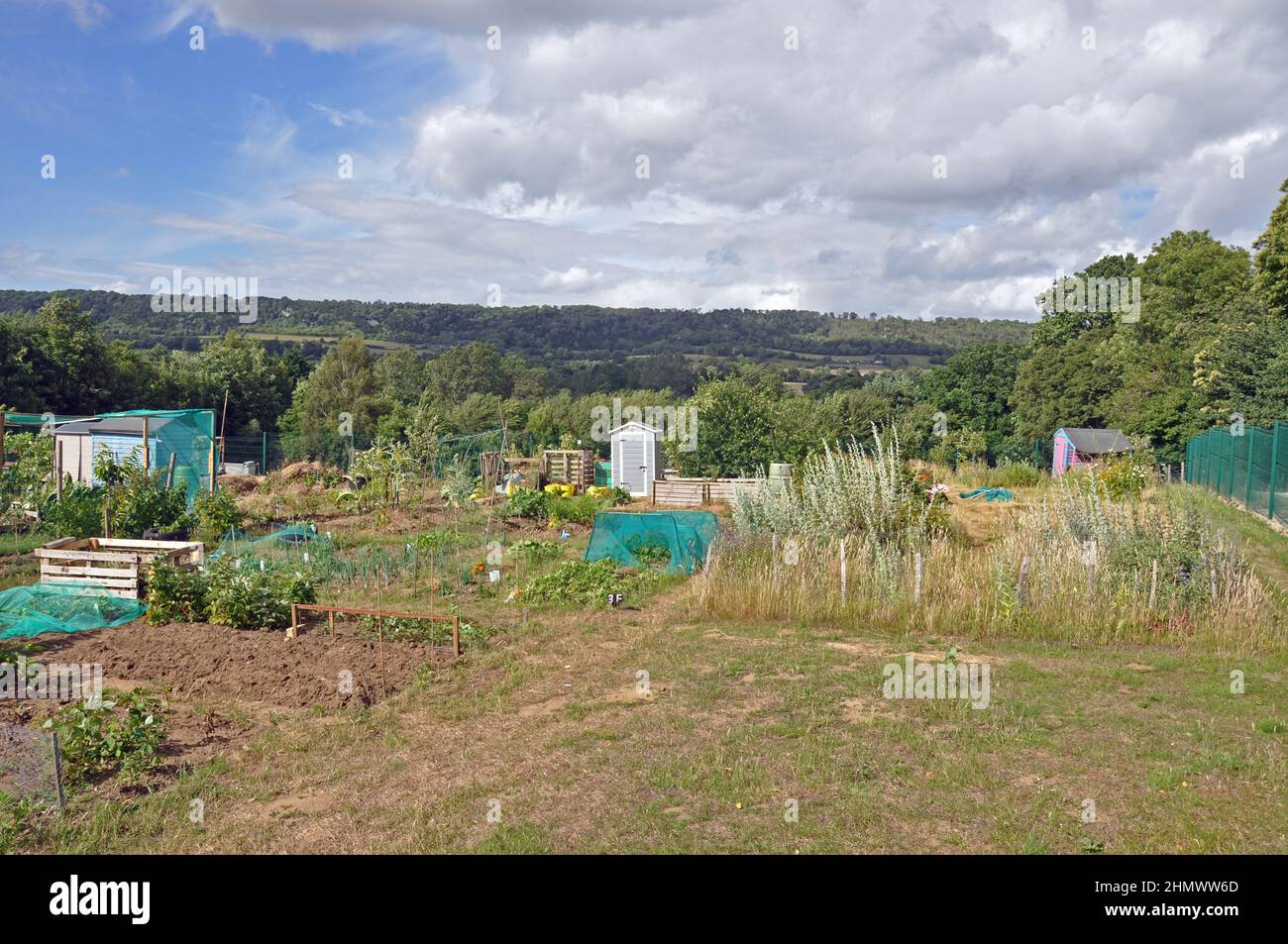 Traditional English Allotment with sheds and plots with trees and view ...