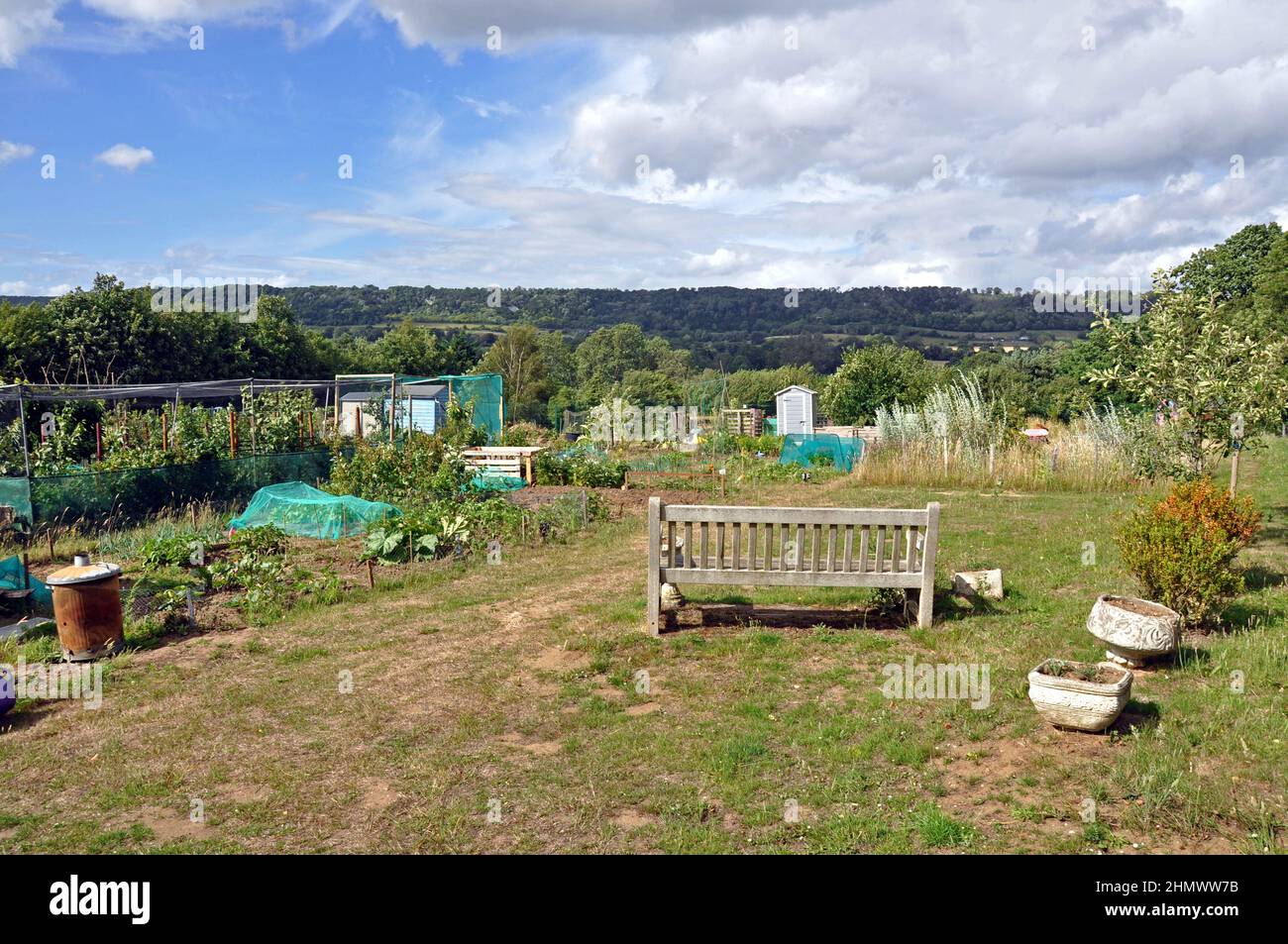 Traditional English Allotment with sheds and plots with trees and view ...