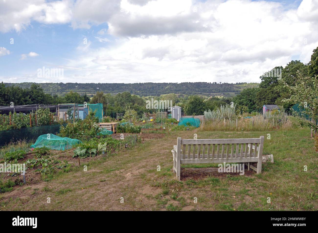 Traditional English Allotment with sheds and plots with trees and view ...