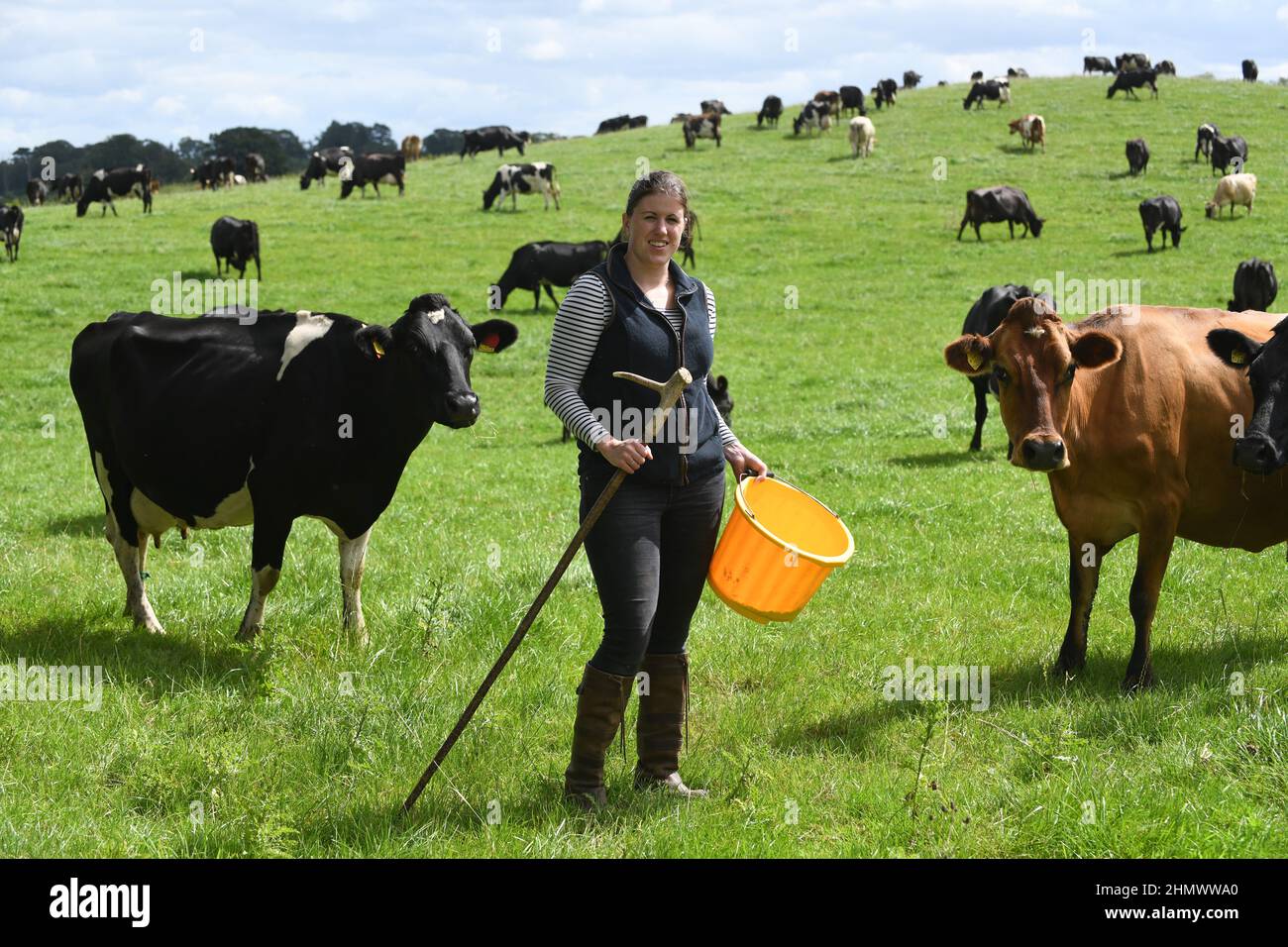 Farming britain hi-res stock photography and images - Alamy