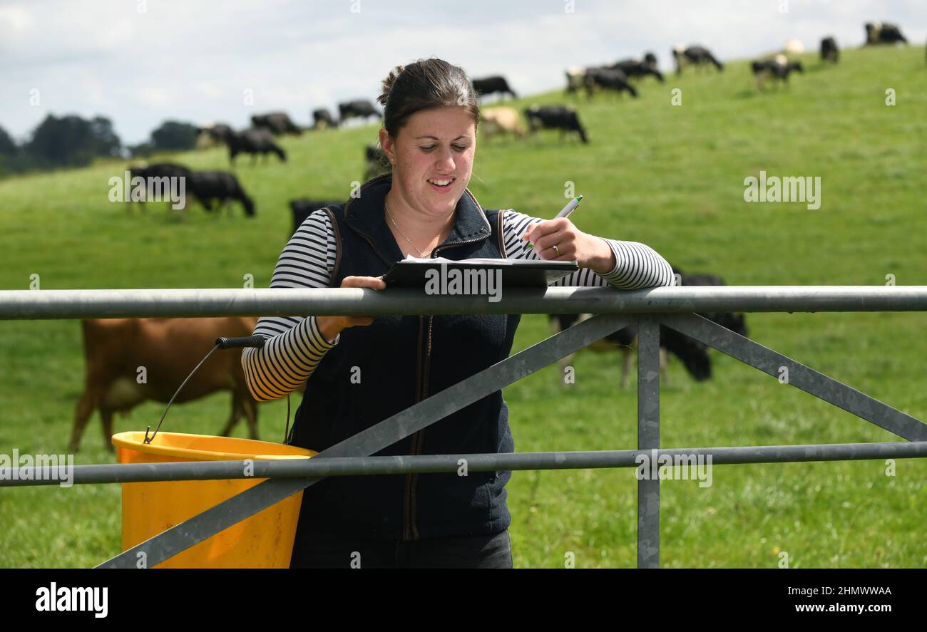 Dairy farm england hi-res stock photography and images - Alamy