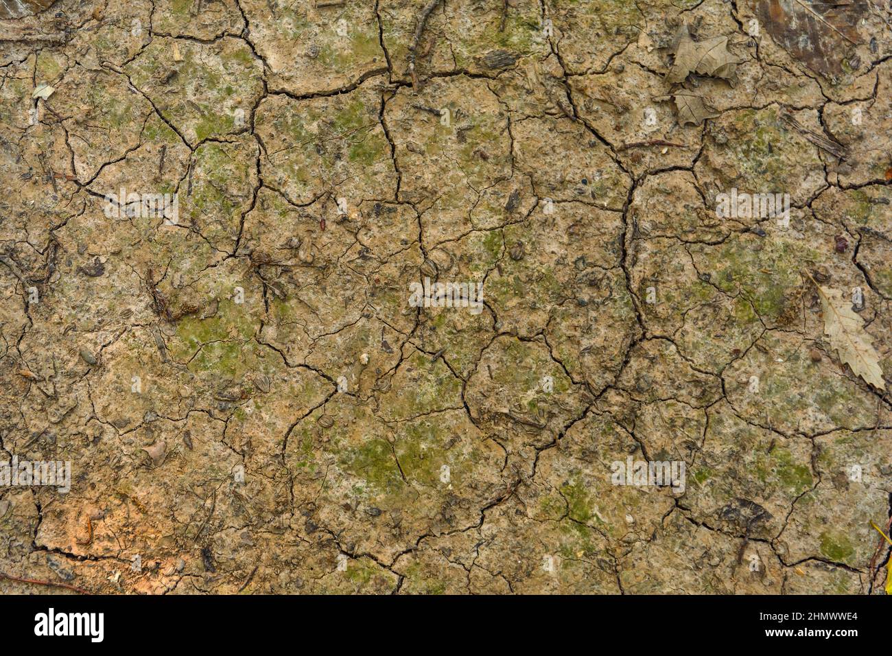 Big mud dark red texture of dry crack on the ground in drought season ...