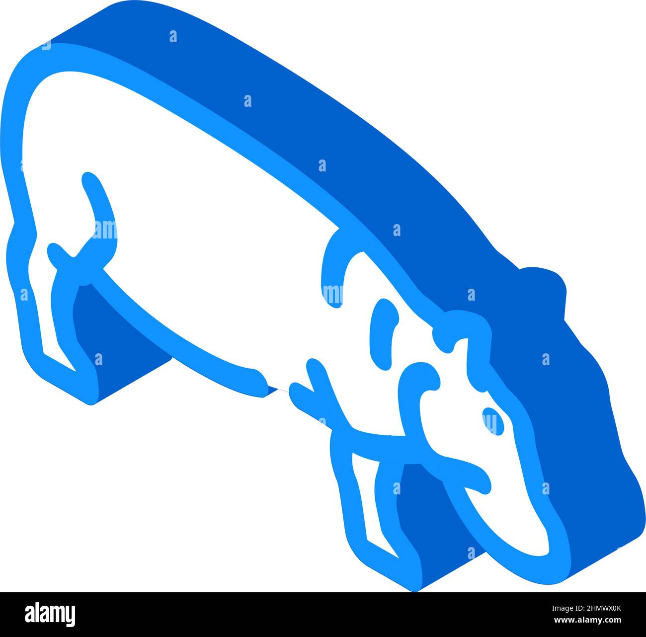 hippopotamus animal isometric icon vector illustration Stock Vector ...