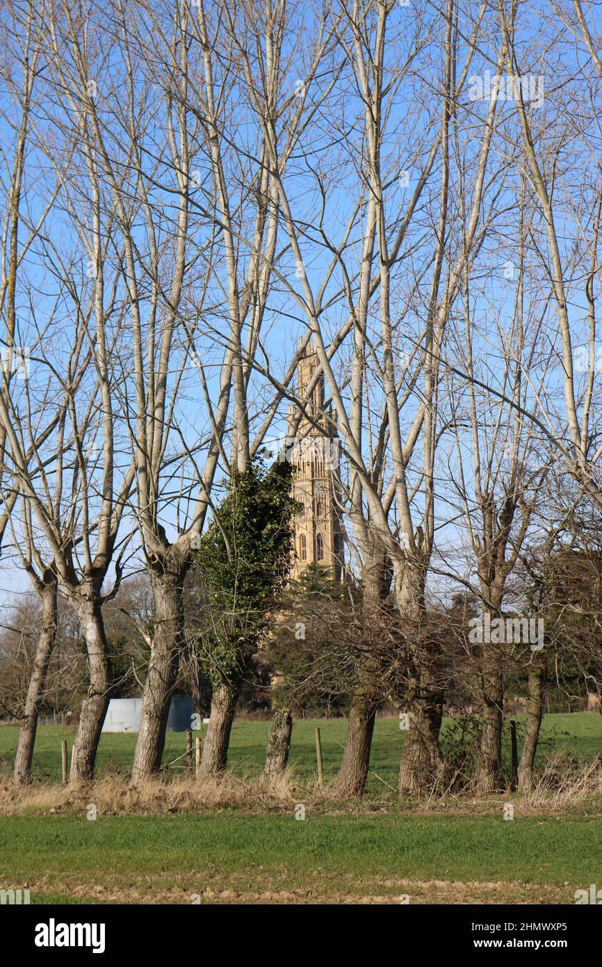Hadlow castle hi-res stock photography and images - Alamy