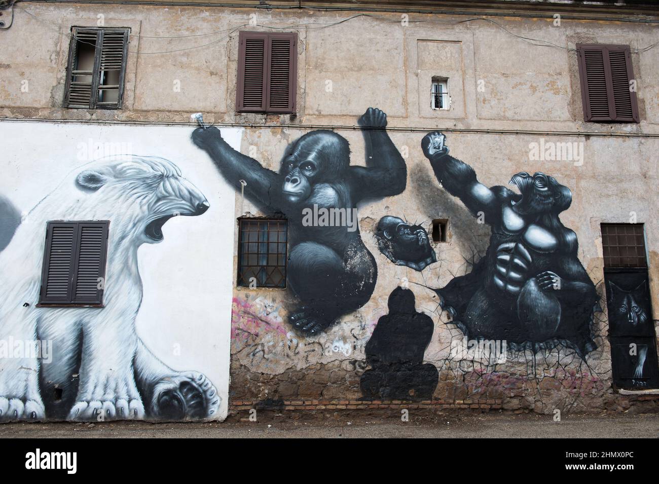 Rome, Italy 02/04/2017: Monkey mural painted on an old abandoned house ...